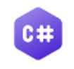 Capricorn Information Systems | Technologies