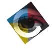 Capricorn Information Systems | Technologies